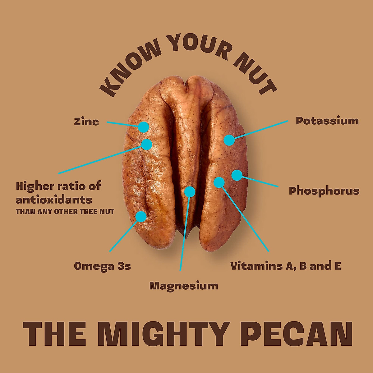 THIS PKN Pecan Nut Milk Chocolate Non Dairy Milk Alternative, Made from Real Texas Pecans, Plant Based Chocolate Milk, Made Without Added Sugars and No GMOs or Lactose (32oz, Pack of 6)