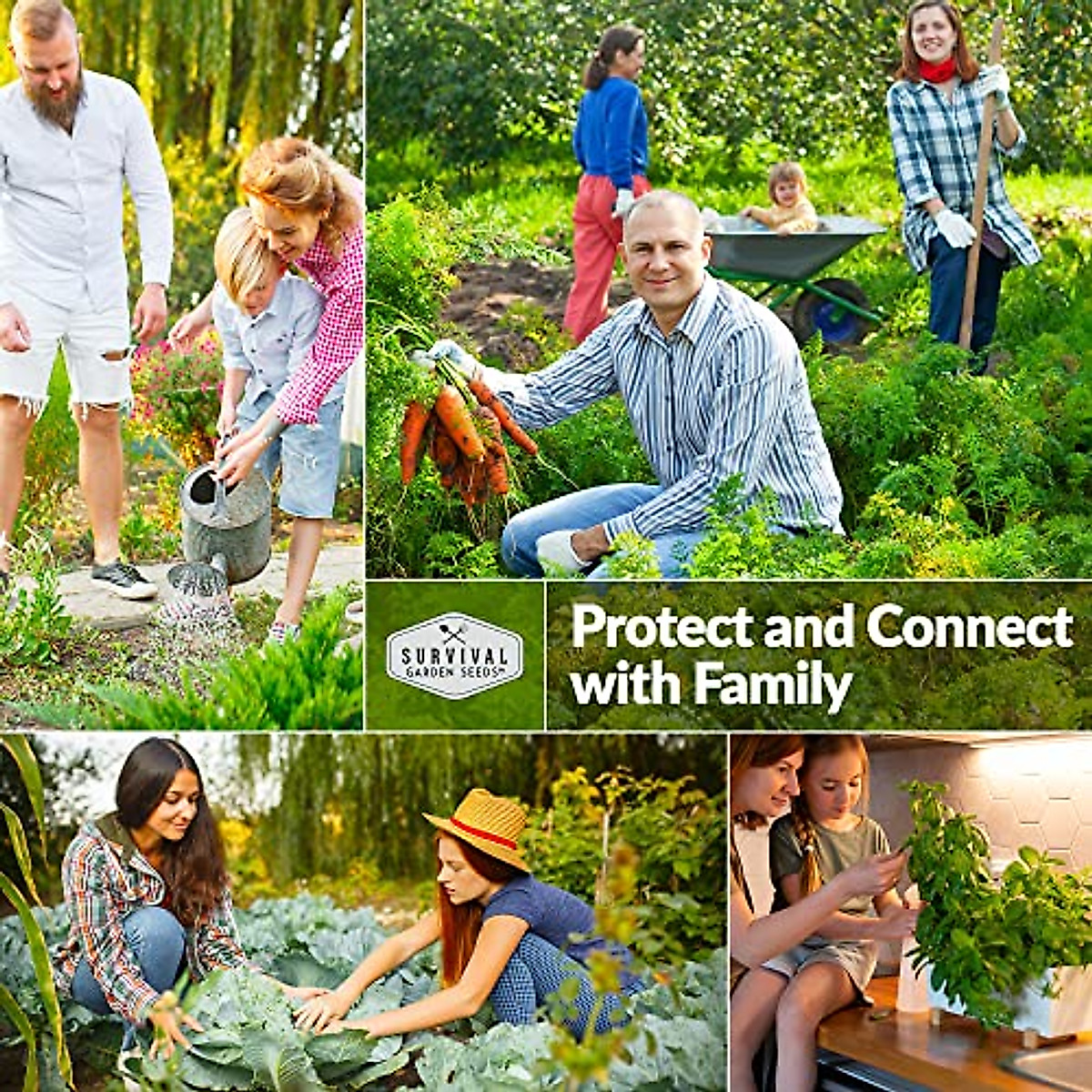 Survival Garden Seeds - Chocolate Beauty Pepper Seed for Planting - Packet with Instructions to Plant and Grow Beautiful Brown Bell Peppers in Your Home Vegetable Garden - Non-GMO Heirloom Variety