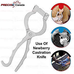 Precise Canada: Newberry Castrating Knife Castrate Cattle Bulls Castration Livestock Animal Vet