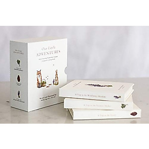 Our Little Adventures: Stories Featuring Foundational Language Concepts for Growing Minds (Our Little Adventures Series)