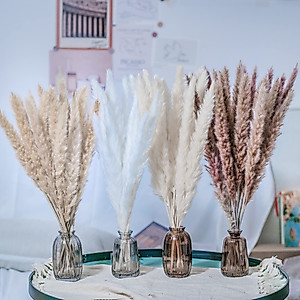 MnS Glam 75 Pc Natural Dried Pampas Grass-25 Pc Cream White Pampas/ 30 Pc Brown Pampass/ 20 Pc Beige Pompus Reed Grass 17.5" Fluffy Stems Dry Pompous Bouquets for Home Decor Wedding Flower Arrangement