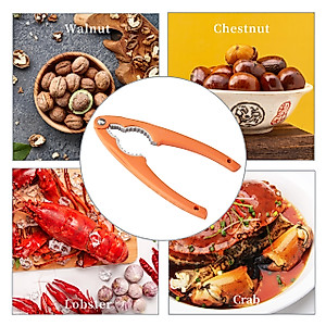 NutCracker, Stainless Steel Nut Crackers for All Nuts, Heavy Duty Nutcracker Tool for Walnet, Pencan, Chestnut, Crab, Lobster and More, Ergonomic Handle (Orange)