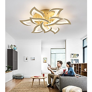 MEIXISUE LED Ceiling Light Gold Dimmable Close to Ceiling Lamp with Remote Control for Living Room,Bedroom,Kitchen,W31.5