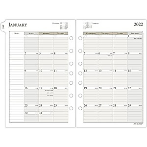 AT-A-GLANCE 2022 Daily Planner Refill by AT-A-GLANCE, 12010 Day-Timer, 5-1/2" x 8-1/2", Size 4, Desk Size, One Page per Day, Loose-Leaf (481-125)