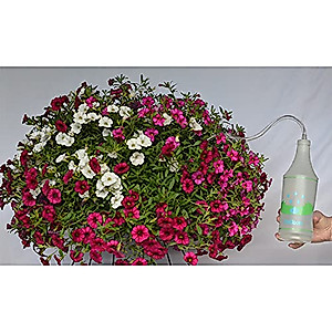 Original UpBloom 32oz (1000 ml) Plant Water Bottle for Hanging Plants, Succulents and Multipurpose Watering with Adjustable Long Reach Neck Design | Indoor or Outdoor | Made in The USA