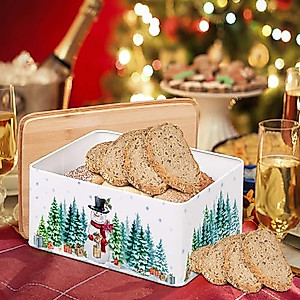 Pinata Rustic Christmas Bread Box, White, 13"L x 8.3"W x 5.3"H, Perfect for Christmas Kitchen Decor and Gift Giving