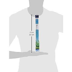 Aqueon AQE40224 Fluorescent Lamp for Aquarium, 12-Inch