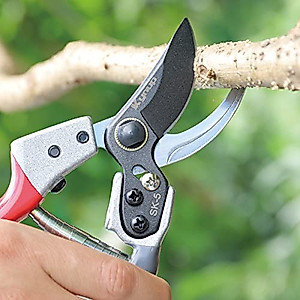 Kynup Garden Shears, Bypass Pruning Shears for Gardening, Tree Trimmers Secateurs, Hand Pruner, Gardening Shears, Clippers For The Garden, Bonsai Cutters, Loppers (Black)