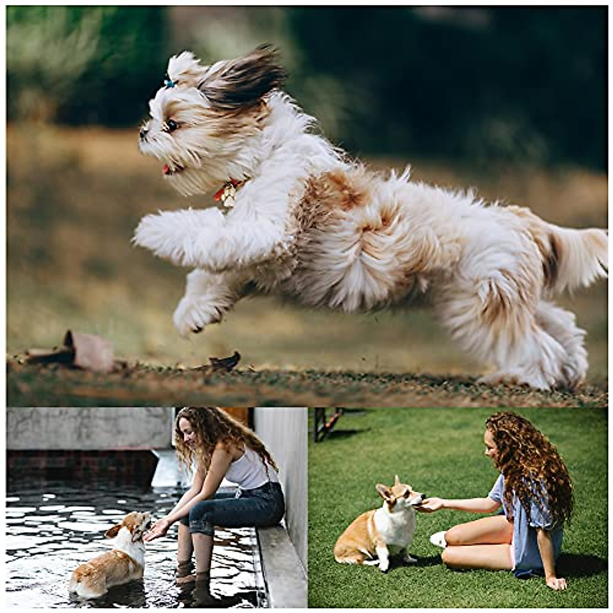 Bvrbaory 6 Pack Dog Flying Disc,Dogs Training Interactive Toys,Puppy Flyer Toy Dog Flyer,Lightweight Soft Floating Saucer for Small Medium Dog Outdoor Sport,Safe on Teeth