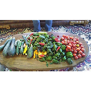 Super Cube Organic Compost Tea, Soil Fertilizer, and Plant Growth Stimulate, Natural Cow Manure and Worm Castings, Indoor or Outdoor Gardening, 10.