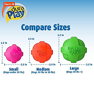 Hartz Dura Play Bacon Scented Squeak Ball Dog Toy for Small Breeds, 3 Pack
