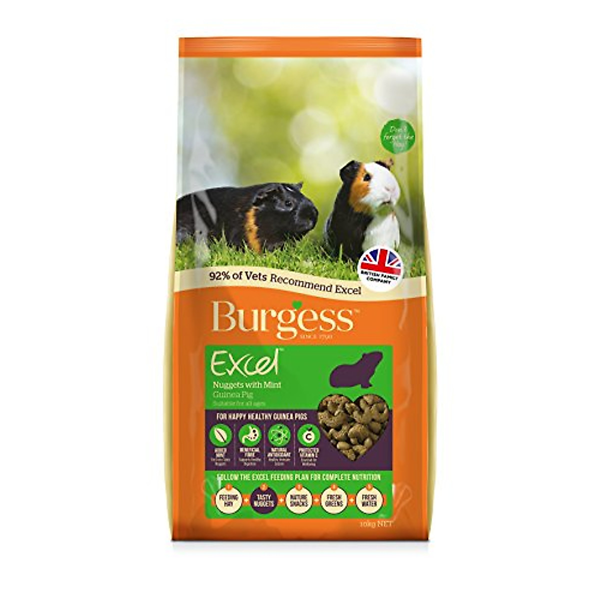 Burgess Excel Nuggets With Mint Guinea Pig Food 10kg