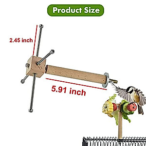 Xnuoyo Bird Food Holder, Parrots Foraging Toys for Birdcage, Rotating Stainless Steel Bird Treat Feeders, Parrot Fruit Vegetable Holder for Parakeets Parrotlets Lovebirds Cockatiels