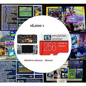 TAPDRA 256G Fully Loaded Micro SD Card for Odroid Go Advance 16000+ Games for OGA RGB10 RK2020 Plug&Play