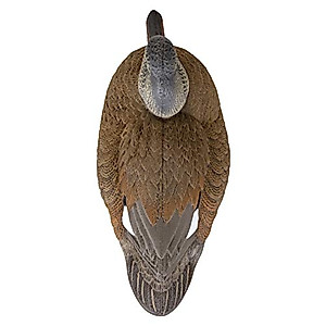 Flambeau Outdoors 5632MSU Masters Series - Gadwall - Floaters - 6-PK, Multi
