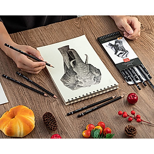 Brusarth Sketch Pencils for Drawing Set - 12 Pieces Drawing Sketching Pencil (14B - 4H), Graphite Pencils for Drawing, Sketching, Shading, Artist Pencils for Beginners & Pro Artists