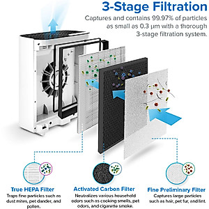 LEVOIT Air Purifiers and Replacement Filters for Home Large Rooms