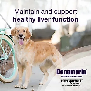Nutramax Denamarin Liver Health Supplement for Large Dogs - with S-Adenosylmethionine (Same) and Silybin, 30 Blister Pack Tablets