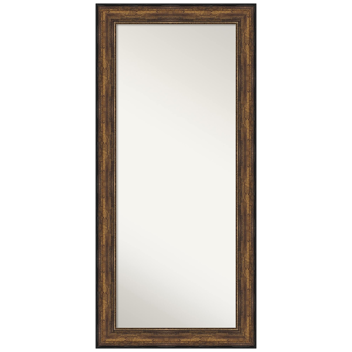 Amanti Art Bronze Full Length Mirror, 68x32 Ballroom Bronze Tall Free Standing Body Wall Mirror Full Length for Dressing, Traditional Frame, Lean on Floor or Hang, Wall Decor from WI, USA