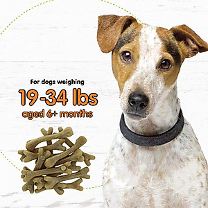 Fido Super Breath Dental Care Bones for Dogs - 13 Count Small Dog Dental Treats for Small Dogs (Made in USA) - Tasty Dog Dental Chews Help Reduce Plaque, Tartar Buildup, and Freshens Breath