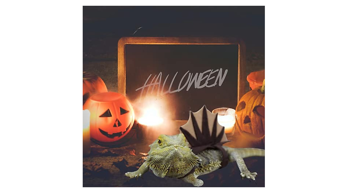 Dress Your Lizard in a Stegosaurus Costume - HAICHEN TEC