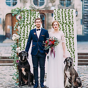 COCOBOO 36pcs 245ft Artificial Greenery Garland Fake Vines Hanging Ivy Garland for Wedding Garden Swing Frame Outdoor Home Bedroom Decoration