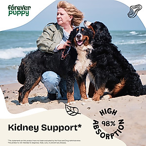 Kidney Support Drops for Dogs - Natural Kidney Care w/Cordyceps Mushroom & Stinging Nettle Leaf - Dog Food Supplements for Dogs' Kidney Health - Liquid Pet Vitamins and Supplements - 2 oz