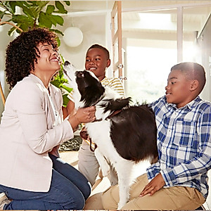 Filtrete 18x24x1 AC Furnace Air Filter, MERV 5, MPR 300, Capture Unwanted Particles, 3-Month Pleated 1-Inch Electrostatic Air Cleaning Filter, 6-Pack (Actual Size17.81x23.81x0.81 in)