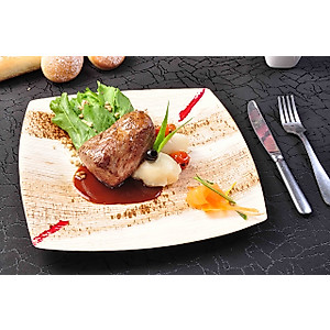 Atmos Green 25 pack 10.5" Square coupe Palm Leaf Dinner Plate Compostable disposable premium heavy duty Eco-Friendly Microwave Refrigeration safe Bamboo like Wedding Events Party