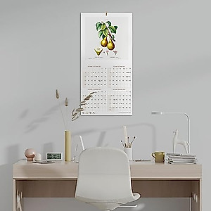 Wall Calendar 2024 12" x 12" FSC® Plastic Free - Starts Week On Sunday | Square Wall Calendar 2024 | Family Planner Calendar 2024 | 2024 Calendar (Botanical 2024)