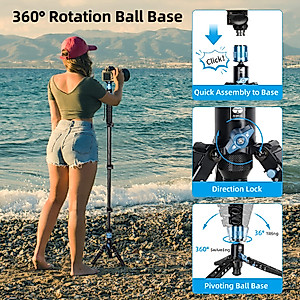 SIRUI P-325FS Monopod with Feet, 55" Carbon Fiber Monopod for Cameras, Professional Lightweight Travel Monopod, Max Load 22lbs, 360° Panorama, 5-Section, Quick Release Plate