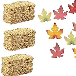Greenbrier Mini Hay Bales for Autumn Harvest Craft, Decoration and Display, Pack of 4