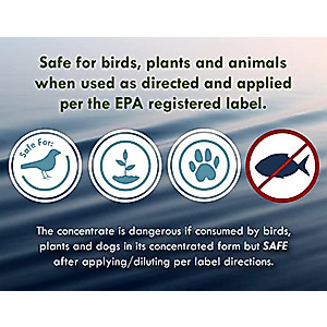 Fountain Algaecide and Clarifier - 8oz - Kills and Inhibits All Types of Algae Growth, Formulated for Small Ponds and Water Features, Treats up to 8,000 Gallons