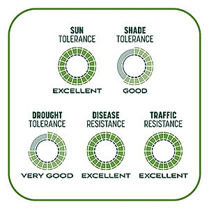 Pennington Smart Patch Tall Fescue Mix 10 lb