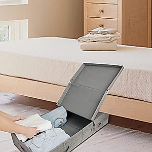 DAYARD Underbed Storage Container Bins with Lids, Under Bed Storage Organizer with Sturdy Handles Sidewalls Bottom, Foldable Clothes Bag (Set of 2) Large, Grey