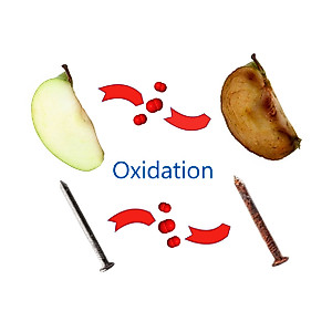 PackFreshUSA Top Tier Cake Preservation System