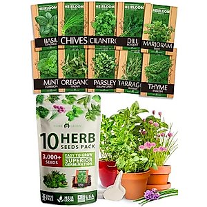 10 Culinary Herb Seeds - Non-GMO, Heirloom Seeds - 3000+ Seeds for Planting for Outdoor or Indoor Herb Garden, Basil, Cilantro, Parsley, Chives, Thyme, Oregano, Dill, Marjoram, Mint, Tarragon