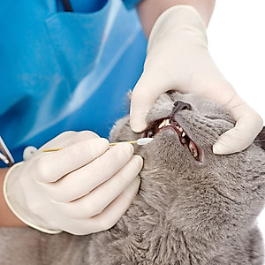 Nuogo 300 Pieces Cotton Buds for Dogs and Cats Pet Cotton Ear Buds Swabs Cotton Dog Ear Cleaner Dog Ear Cleaning Solution Long Cotton Swab Dog Ear Drops with Wood Handle for Dog Ear Care, 4.7 Inches