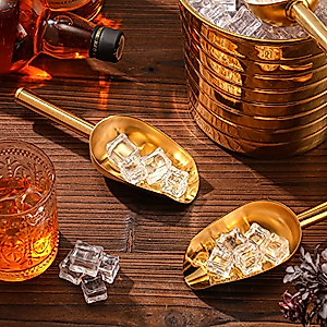 Roshtia 12 Pieces Gold Ice Scoops 5 oz Stainless Steel Mini Scoop Candy Scoops for Kitchen Dispenser Buffet Jars, Scooping Coffee Bean, Sugar, Flour, Spice