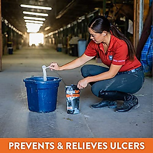 MagnaGard Plus- Gastric Support Supplement for Horses with Omega 3s | Relieves Ulcers, Calming Supplement, Magnesium & Other Vital Minerals | Powder, 20lb Bucket, 5-Month Supply | by Eagle Equine