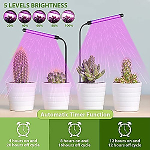 Juhefa Grow Light for Indoor Plants Growing, Red Blue Full Spectrum Gooseneck Sunlight Plant Lamp for Seedings Succulents Small Plants, Timer Function with 5-Level Brightness