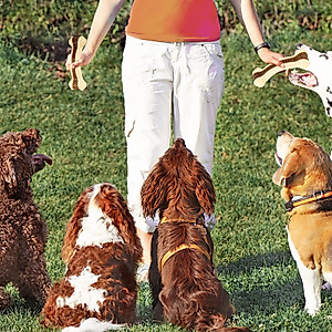 Geeyteek Dog Toys for Aggressive Chewers, 2 Pack Nylon Durable Dog Bones with Real Beef Flavor for Large/Medium/Small Breeds Pet Chew Toys