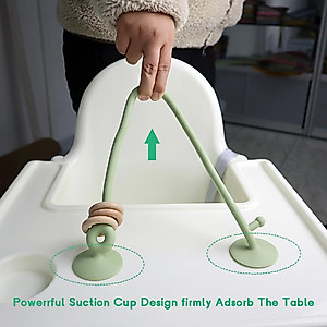 Socub Silicone Baby Sensory Toys, Montessori Educational Toys for Baby 6 12 18 Months, Parent-Child Toys with Suction Cup, 2 Pack(Dark Pink), Medium, TR063