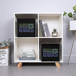 Hawaii Storage Bins with Handles Cube Closet Organizers and Storage Boxes Folding Basket for Shelves 2PCS