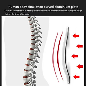 Back Protector Belt Back Support Belt by - Relief for Back Pain, Herniated Disc, Sciatica, Scoliosis and more! - Breathable Mesh Design with Lumbar Pad - Adjustable Support Straps - Lower Back Brace (