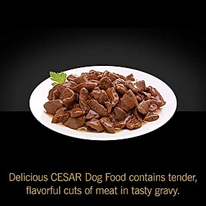 CESAR HOME DELIGHTS Wet Dog Food Slow Cooked Chicken & Vegetables Dinner in Sauce, (24) 3.5 oz. Easy Peel Trays