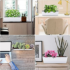 Window Boxes Planters, GREANER 3PCS 16x3.8 Inch Large Herb Planters with Tray, Indoor Succulent Cactus Flowers Vegetable Plastic Rectangle Pots for Balcony, Office, Garden, Outdoor, Windowsill (White)