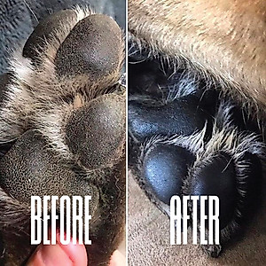 Zampaw - Pet Massage Oil for Dogs – Anti-Itch Relief for Dry, Itchy, Irritated Skin & Paws - Vitamin E, Aloe Vera, Jasmine & Coconut Oils - Healthy Skin & Shiny Coat - Calming Aloe Vera – 90 Capsules