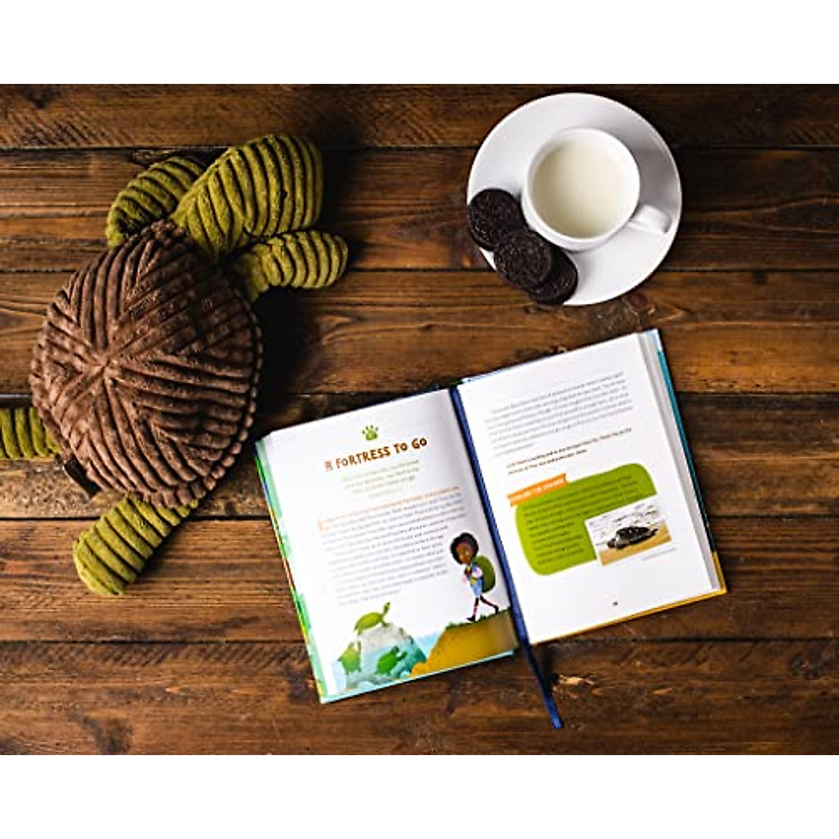 The Wonder of Creation: 100 More Devotions About God and Science (Indescribable Kids)