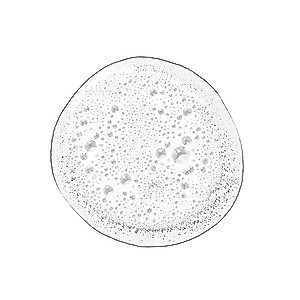 Neuro by Paul Mitchell Lather HeatCTRL Shampoo, Heat Care For All Hair Types, 9.2 Fl Oz